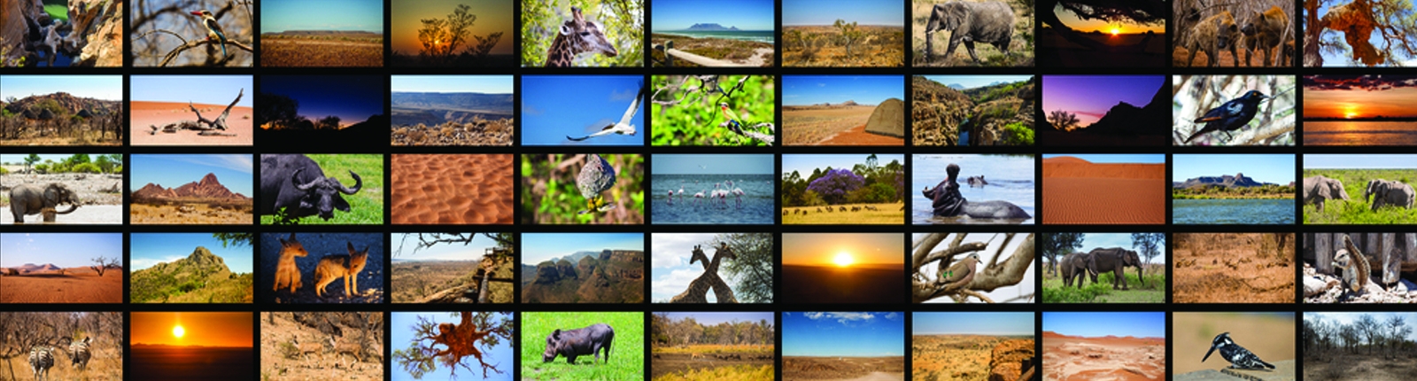 GAD - HD programs Discovery, Travel, Current affairs, Culture, Wildlife...