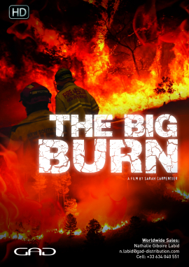 The Big Burn - GAD